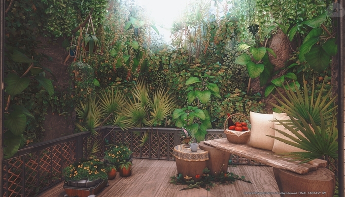 Soare | HOUSING SNAP